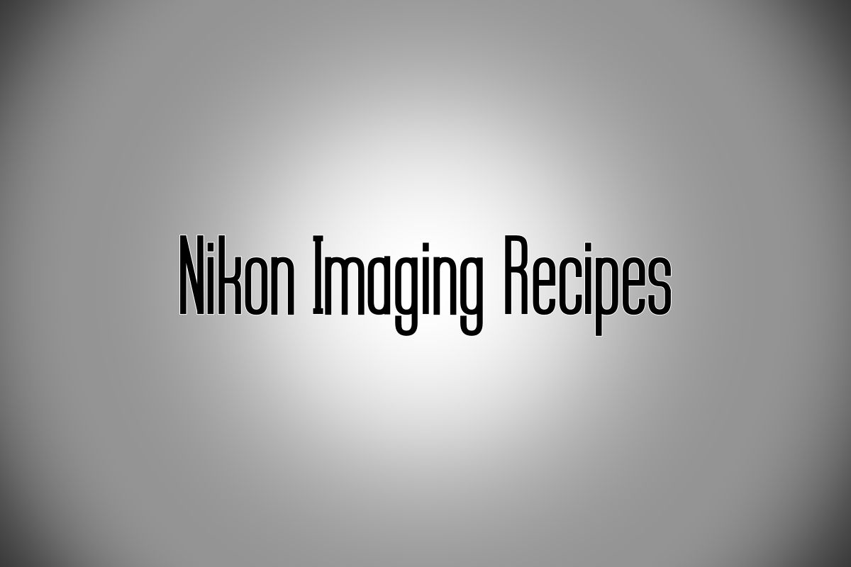 Nikon Imaging Recipes – One Camera One Lens Photography