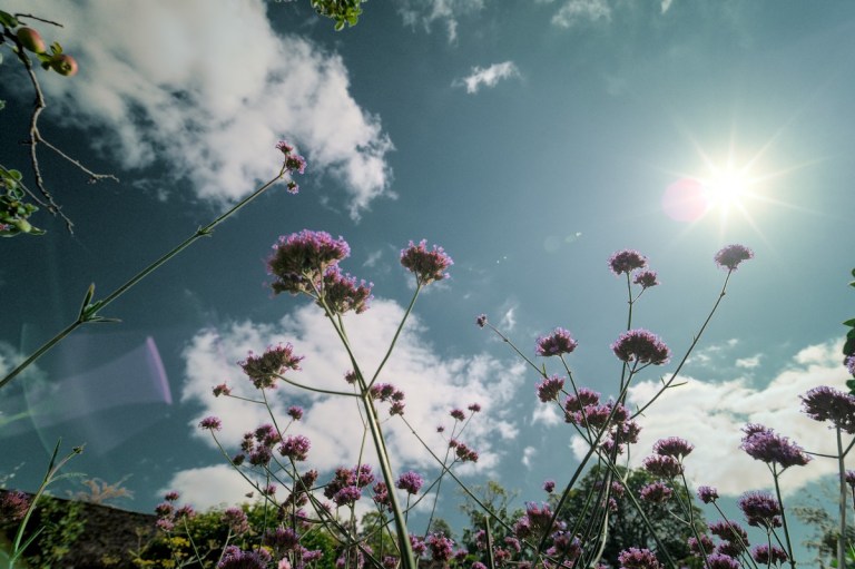 Why Your Edited Images Look Different on Other Screens – One Camera One ...