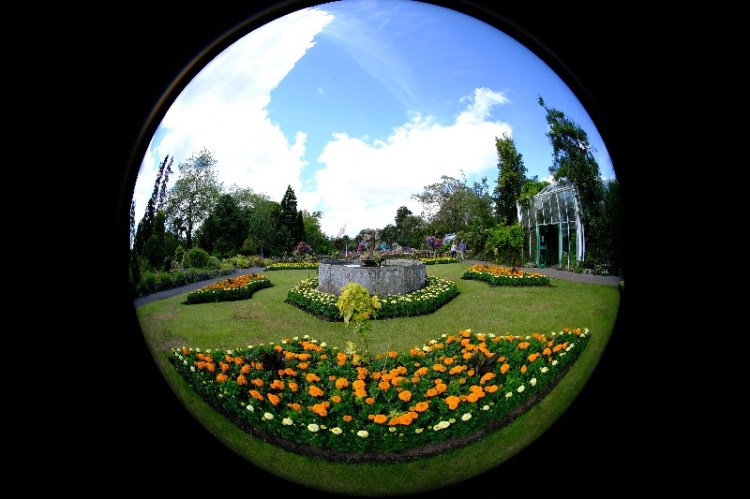 The Wonderful World Of Fisheye – Give It A Go! – One Camera One Lens ...