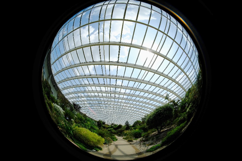 The Wonderful World Of Fisheye – Give It A Go! – One Camera One Lens ...