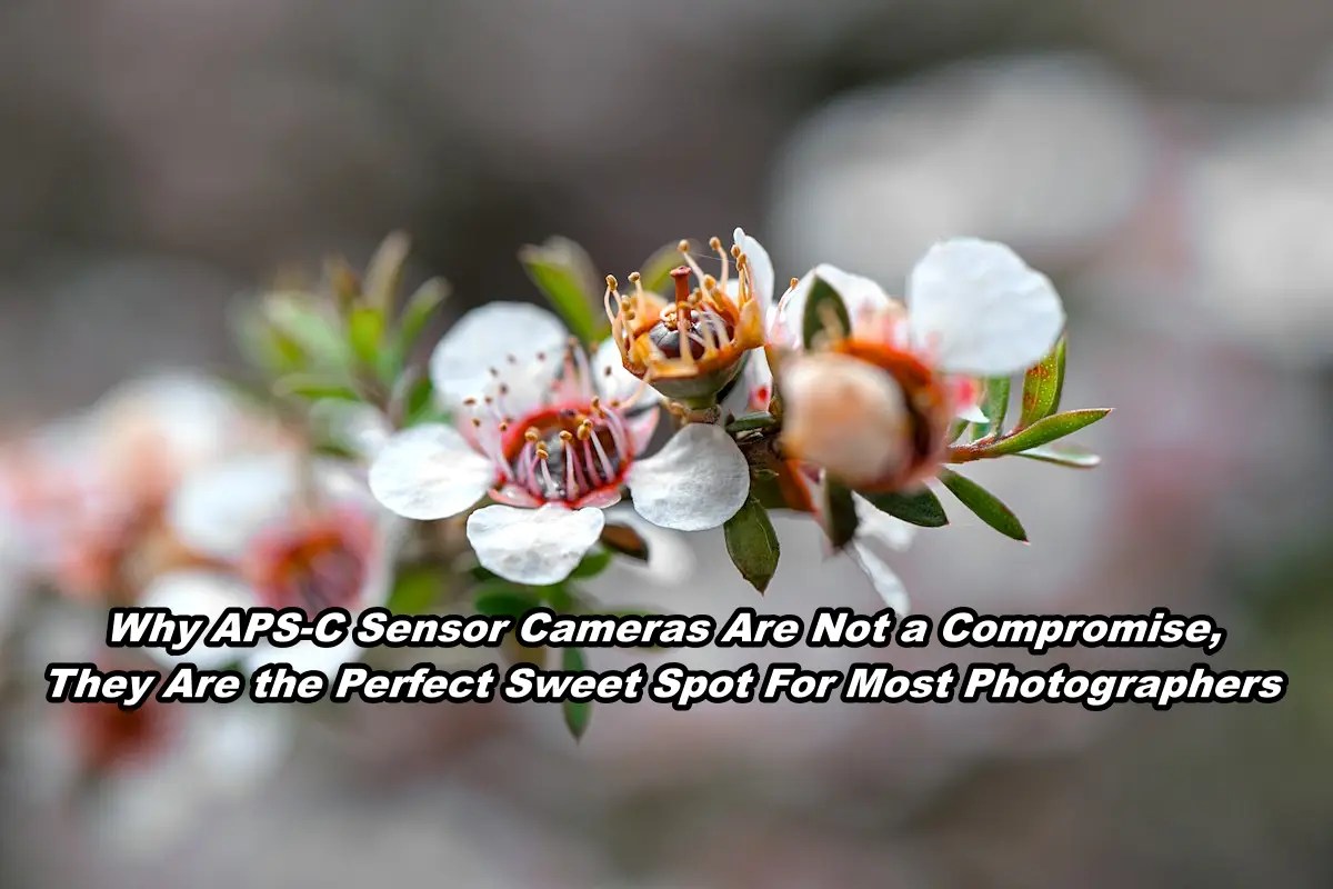 Why APS-C Sensor Cameras Are Not a Compromise, They Are the Perfect ...